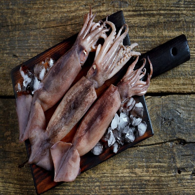 SQUID WHOLE - Arabian Fisheries